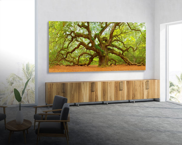 Nature Gallery | Panoramic Fine Art Photographs – Lijah Hanley Photography