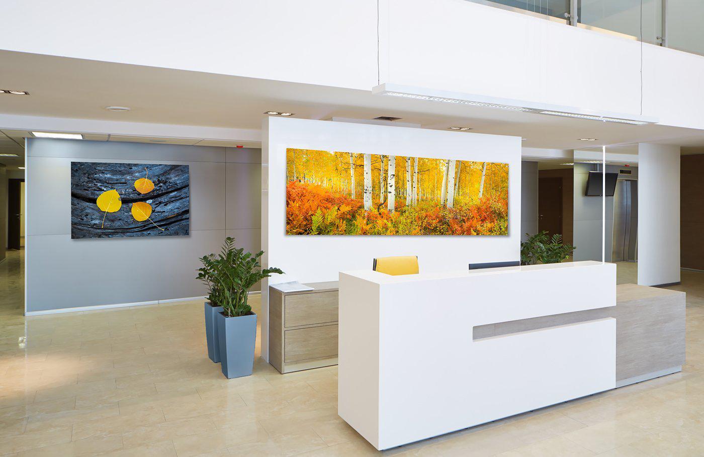 "Autumn Palette" – Lijah Hanley Photography