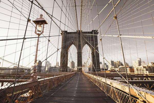 "Luminary" – Lijah Hanley Photography