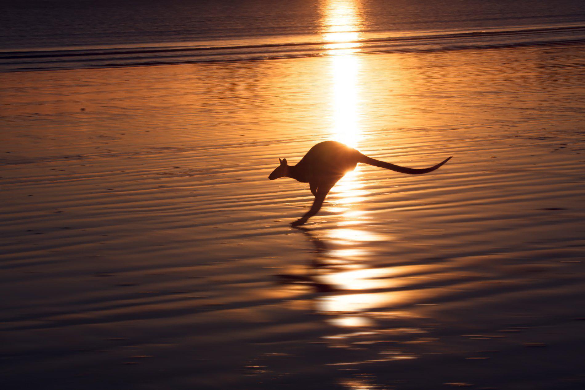 "Sun Racer" – Lijah Hanley Photography